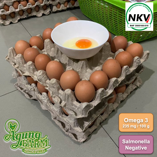 Jual Telur Omega 3 Nabati Curah per 5 kg dari Kandang NKV | Shopee ...