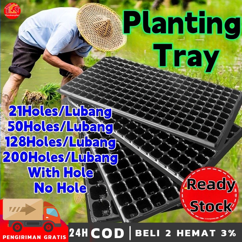 Jual tempat semai benih / pot tray semai bibit 200 128 105 72 50 32 ...