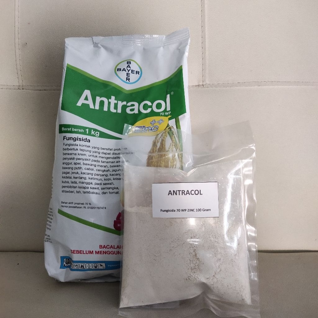 Jual REPACK Fungisida Antracol ECERAN Repacking 100 Gram ( Dikemas ...