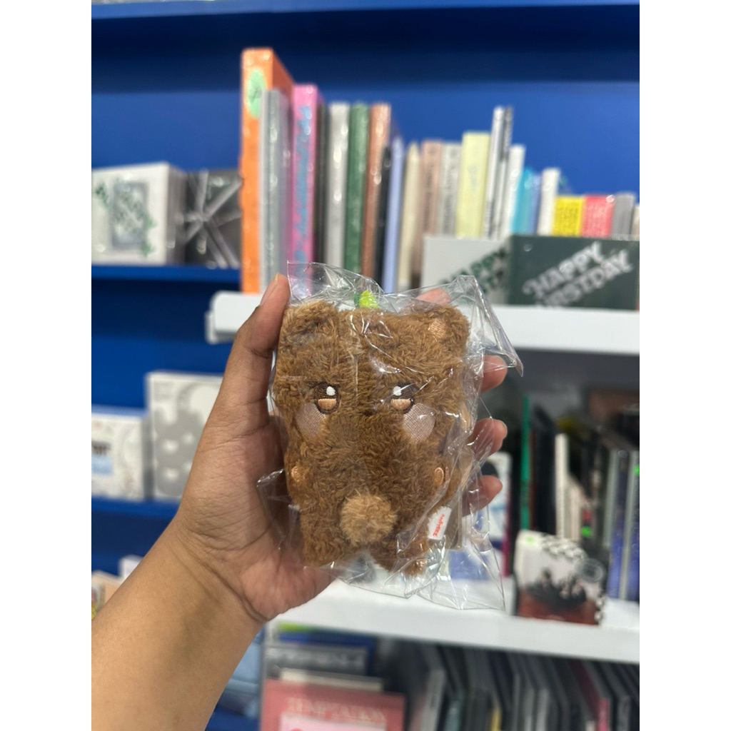 Jual [ OFFICIAL ] ATEEZ - ANITEEZ IN TREASURE MINI PLUSH | Shopee Indonesia