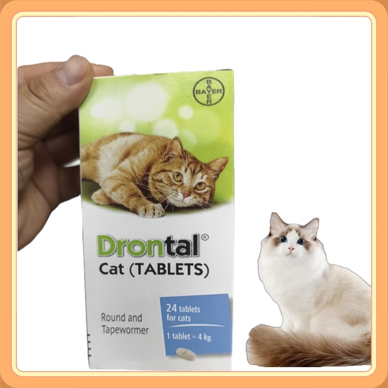 Jual 【Beli 3 gratis 1】Drontal Cat Deworm Tasty Dewormer Tablets for ...