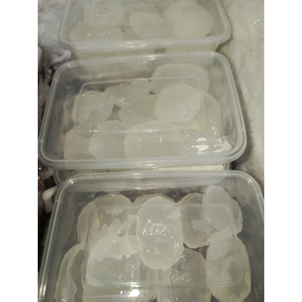 Jual BUAH LONTAR KUPAS BERSIH FROZEN ISI 10 BUAH | BUAH LONTAR SIWALAN ...