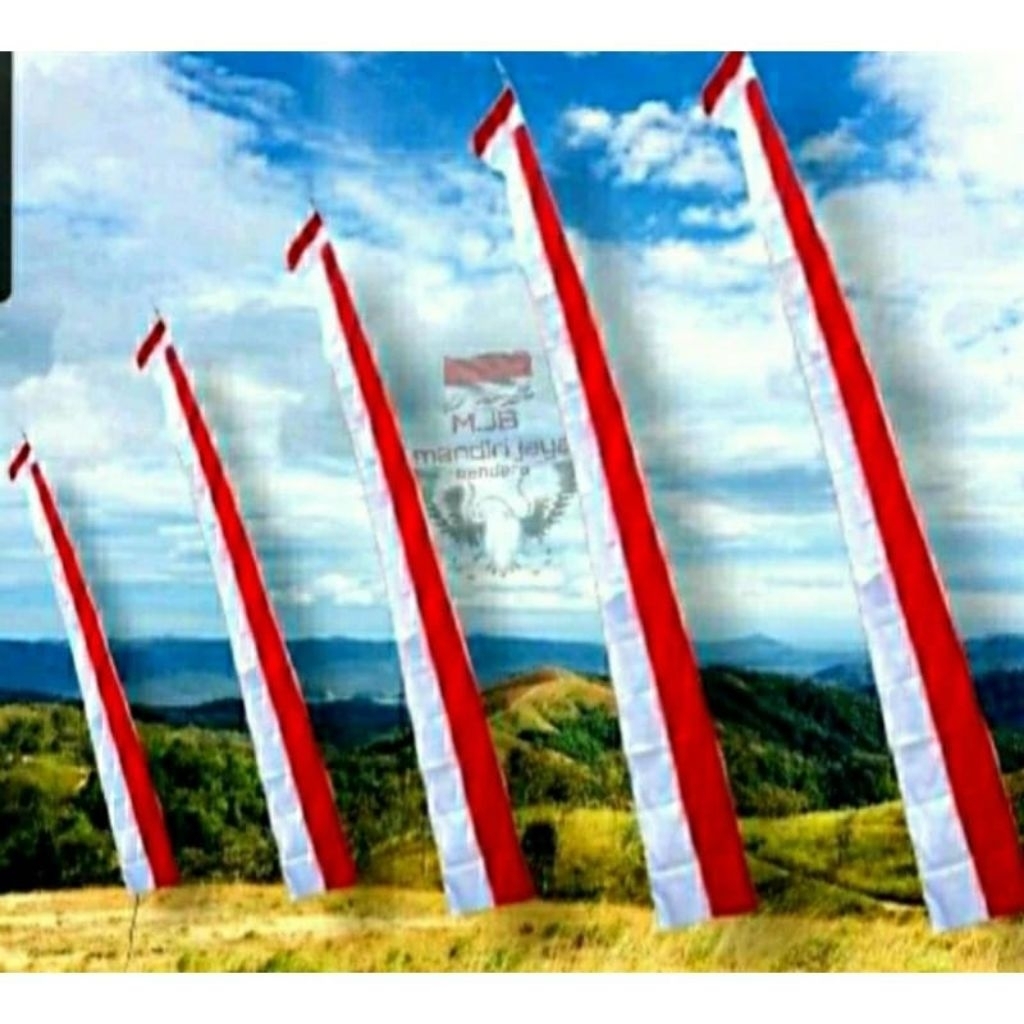 Jual UMBUL UMBUL LAYUR POLOS//BENDERA LAYUR POLOS ((3meter, 4meter ...
