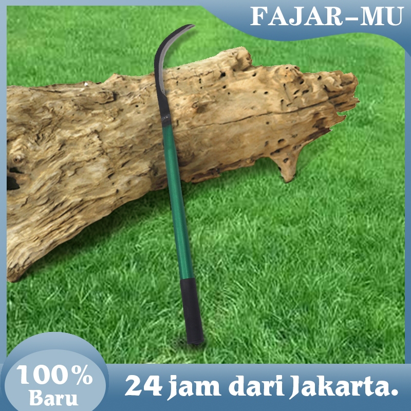 Jual 40 Cm Menangani Arit Madura Untuk Rumput / Arit Jawa Asli / Arit ...