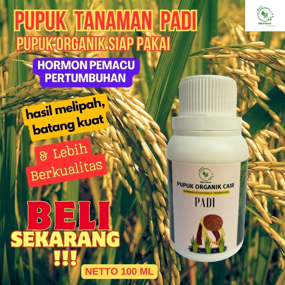 Jual Pupuk Organik Cair Pelebat Bulir Padi. Pupuk Cair Organik Anti ...