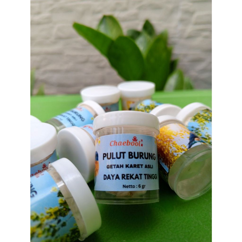 Jual (The Claw - Chaebool) Pulut Burung 6 Gr Getah Karet Asli Lem ...