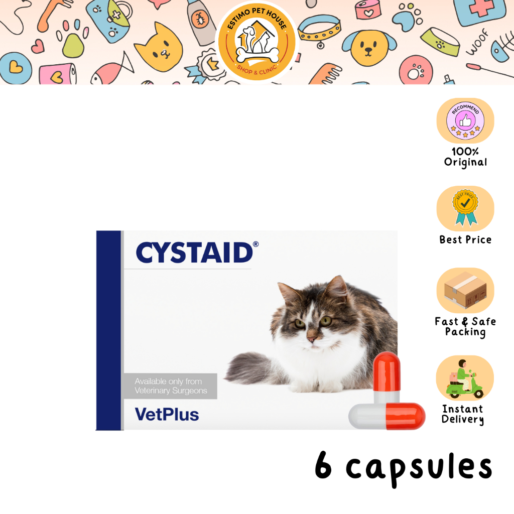 Jual CYSTAID PLUS (6pcs Tablet) Obat Masalah Saluran Kencing Kemih ...
