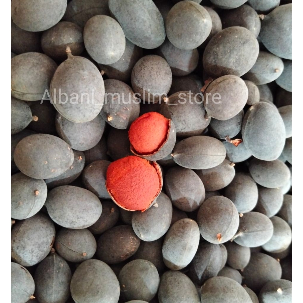 Jual BUAH ASAM KRANJI 125 gram menurunkan asam urat kolestrol insulin ...