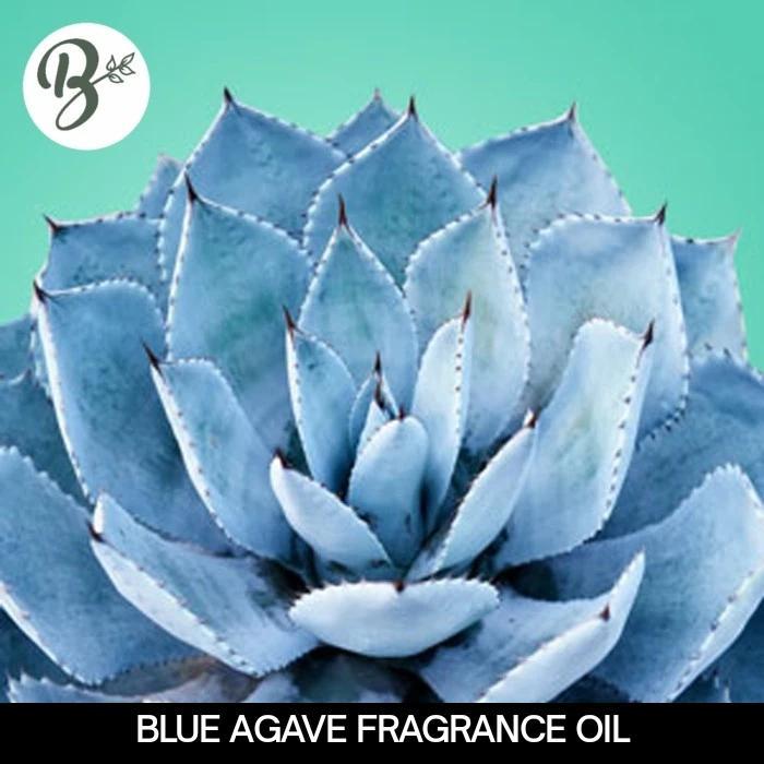 Jual Blue Agave Fragrance Oil 10 ml & 30 ml (Natures Garden) | Shopee ...