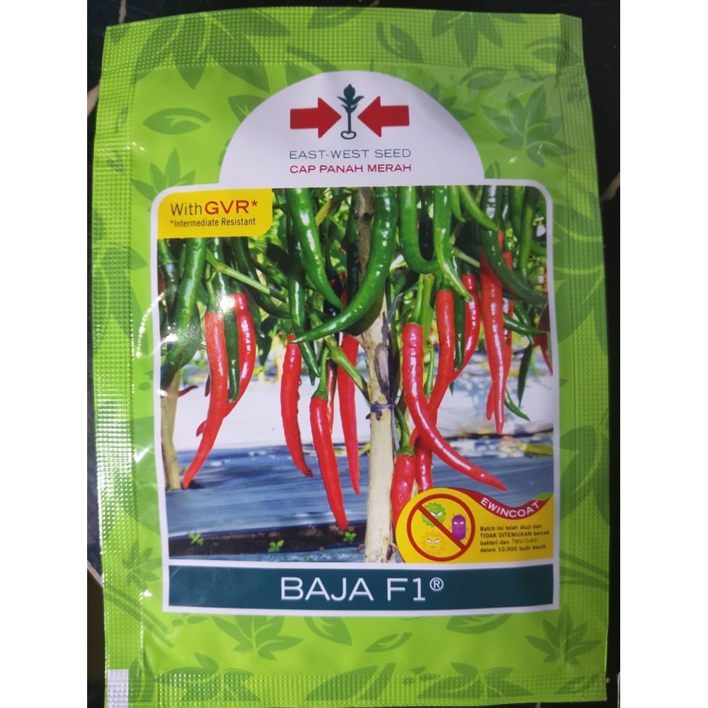 Jual BENIH CABAI BESAR BAJA FI HIBRIDA TAVI 1500 butir PANAH MERAH ...