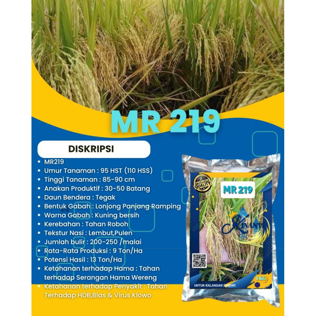 Jual BENIH PADI MR 219 Kemasan 1 KG | Shopee Indonesia