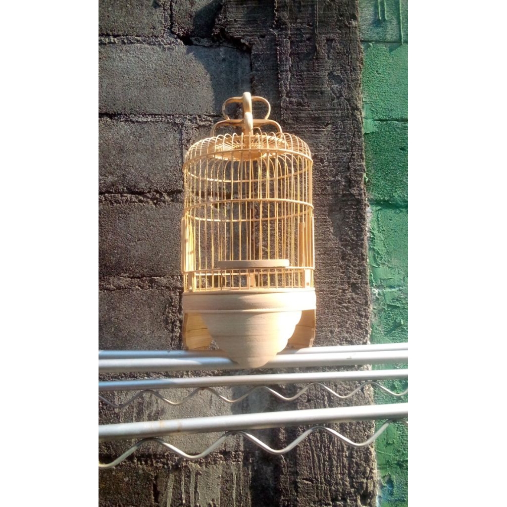 Jual Sangkar Pleci Holopet | Shopee Indonesia