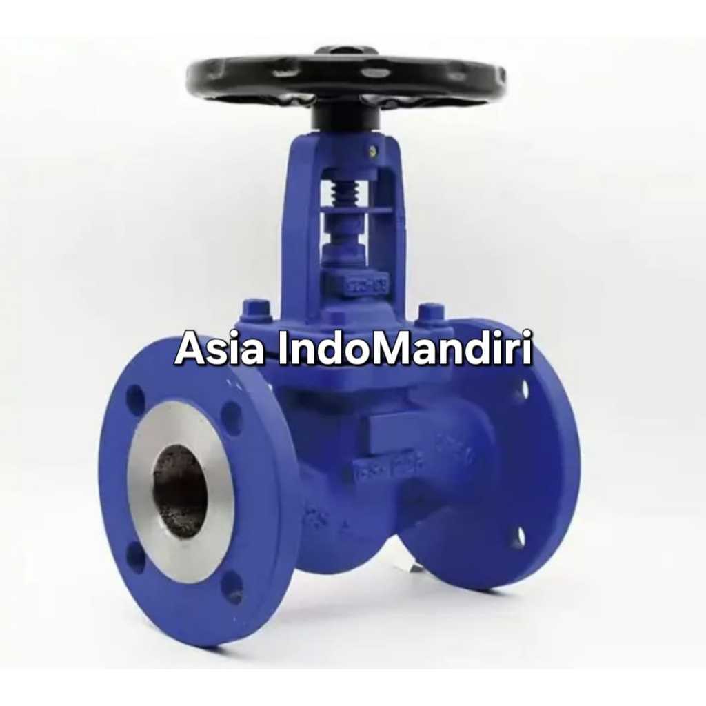 Jual Globe Valve PN16 Steam Cast Iron Flange 2"Inch / Globe Valve Steam ...