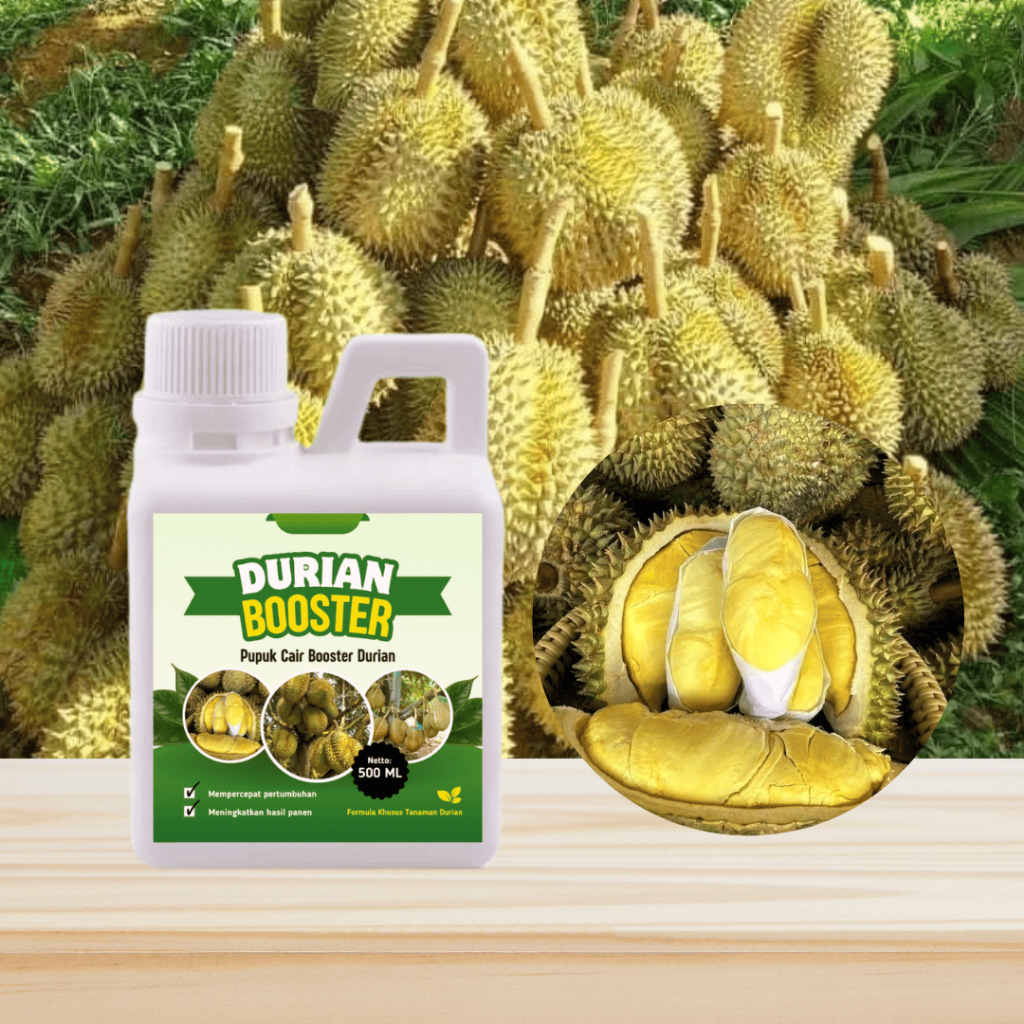 Jual Booster Durian POC 500 ML Nutrisi Lengkap untuk Pohon Durian Subur ...