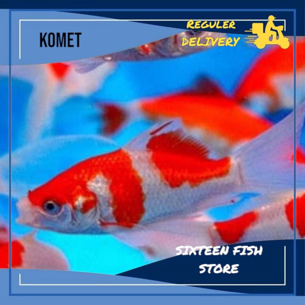 Jual Dekorasi Akuarium | Koleksi KOMET penghias akuarium ( Produk ...