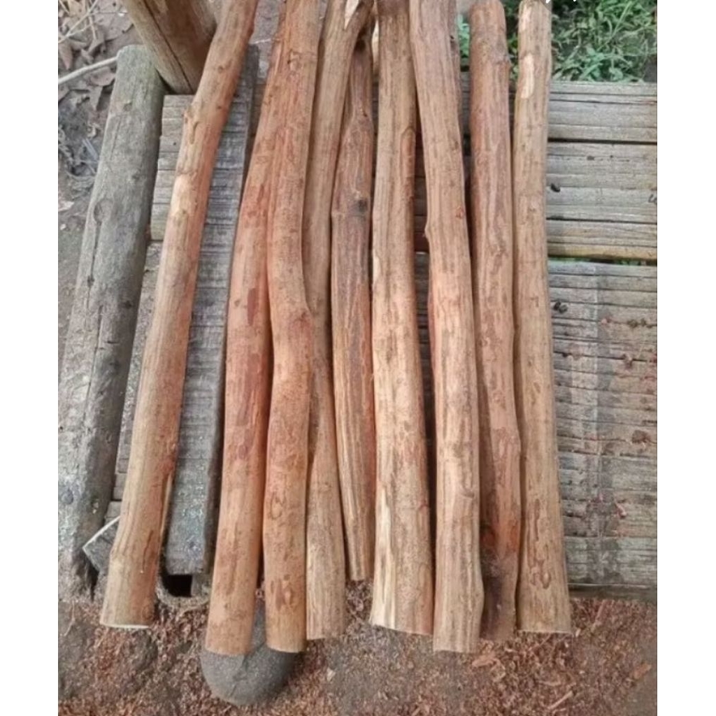Jual Batang Kayu Kasamala Lurus 40_50cm cocok buat tema junggle ...