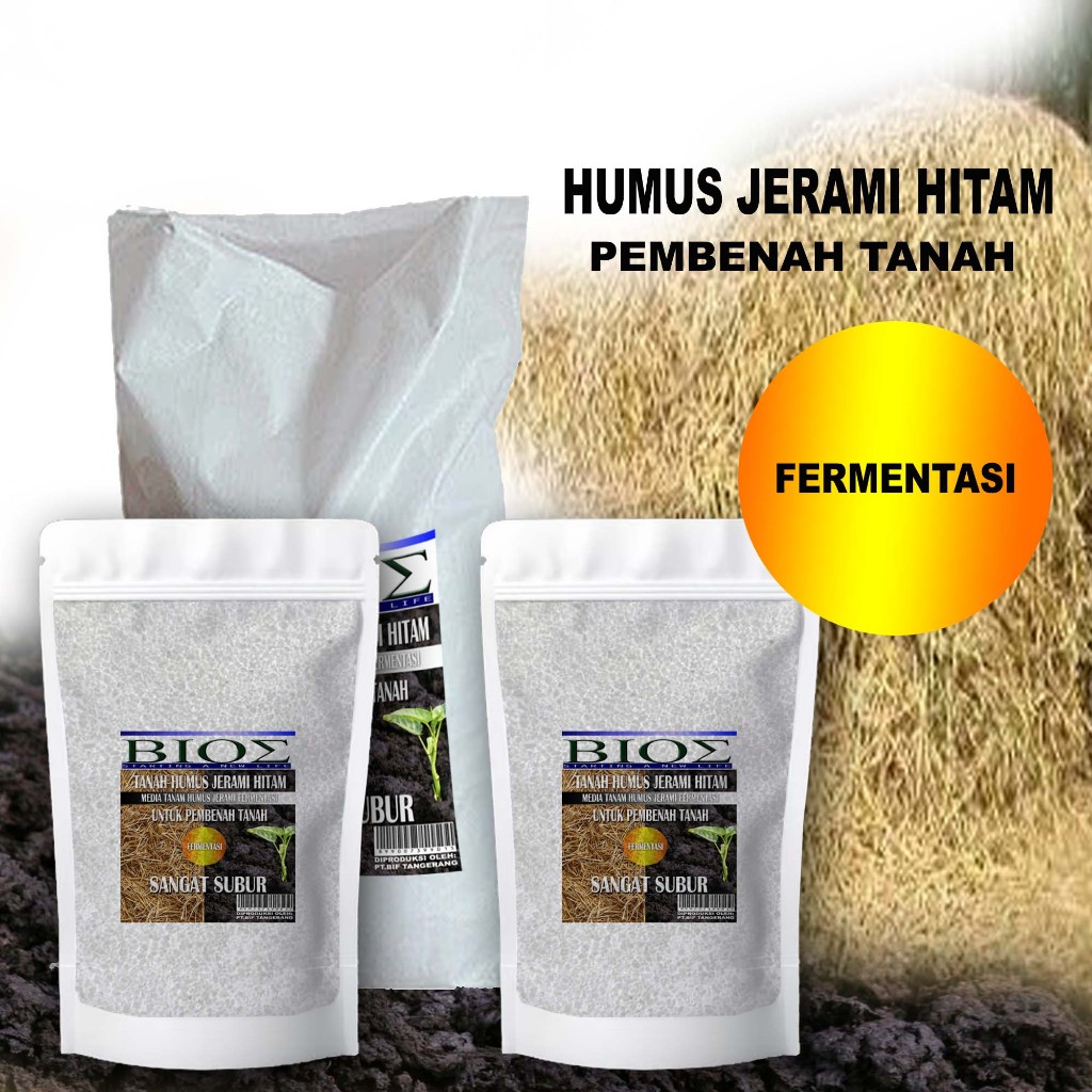 Jual Humus jerami Media tanam fermentasi trichoderma sudah menghitam ...