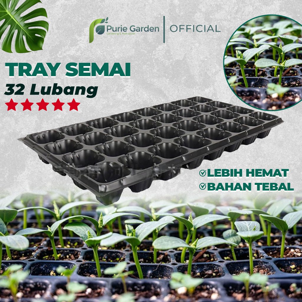 Jual Tray Semai 32 Lubang Pot Tray Penyemaian Bibit Tanaman PG SBY ...