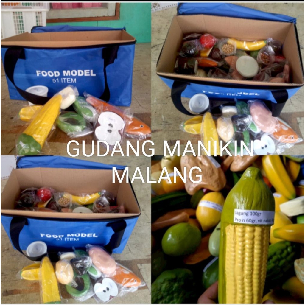 Jual FOOD MODEL 51 ITEM/REPLIKA GIZI HARIAN/4 SEHAT 5 SEMPURNA | Shopee ...