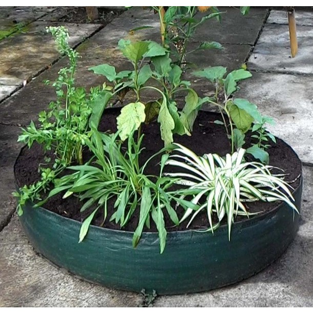 Jual Raised Bed Planter Bag Sayuran Easy Grow Vegetable Planter Tas ...