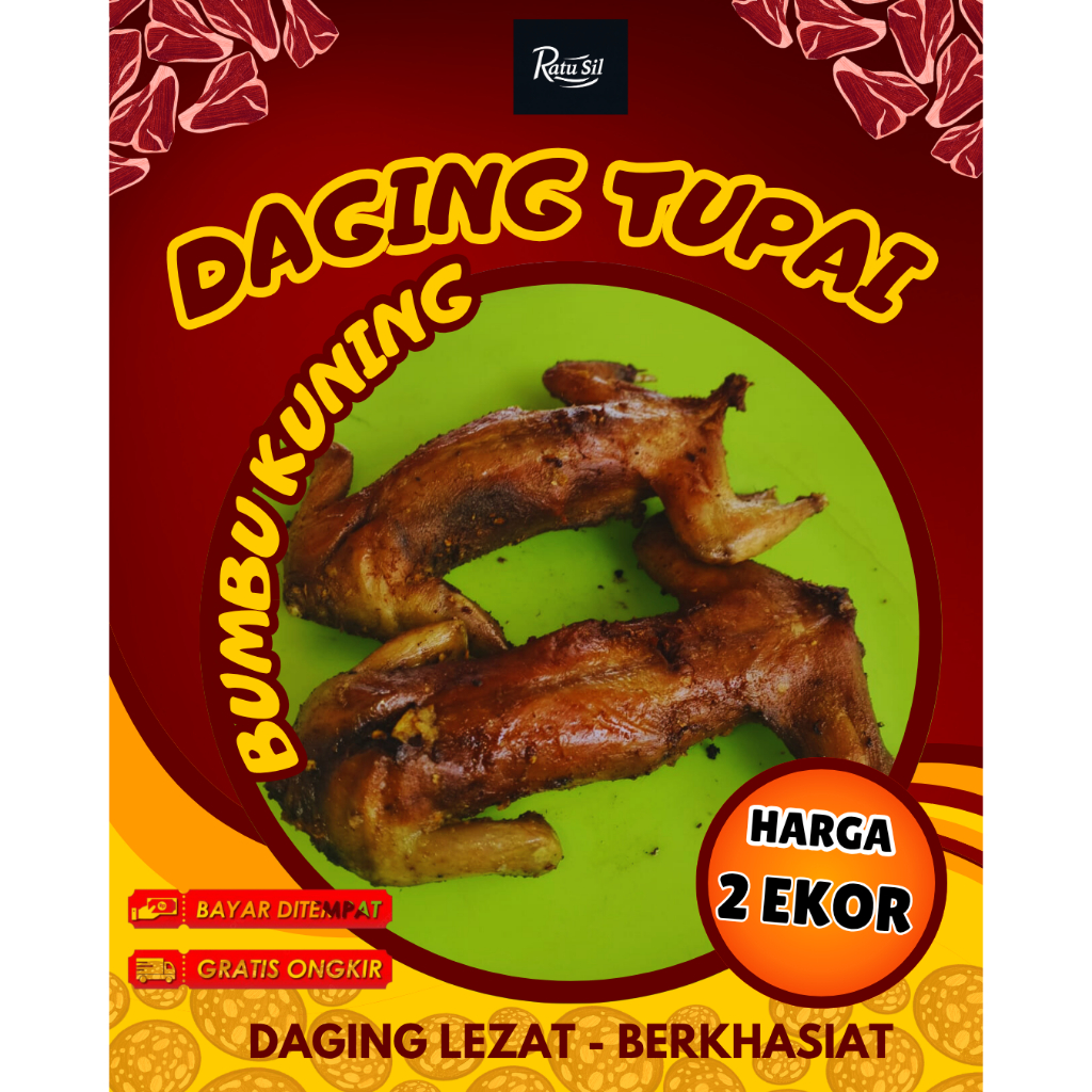 Jual 2 EKOR DAGING BAJING KELAPA / TUPAI KELAPA GORENG FRESH DARI ALAM ...