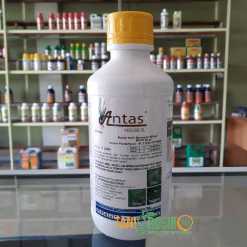 Jual HERBISIDA SELEKTIF PADI ANTAS 400/60 SL 1 LITER ADVANSIA/RACUN ...