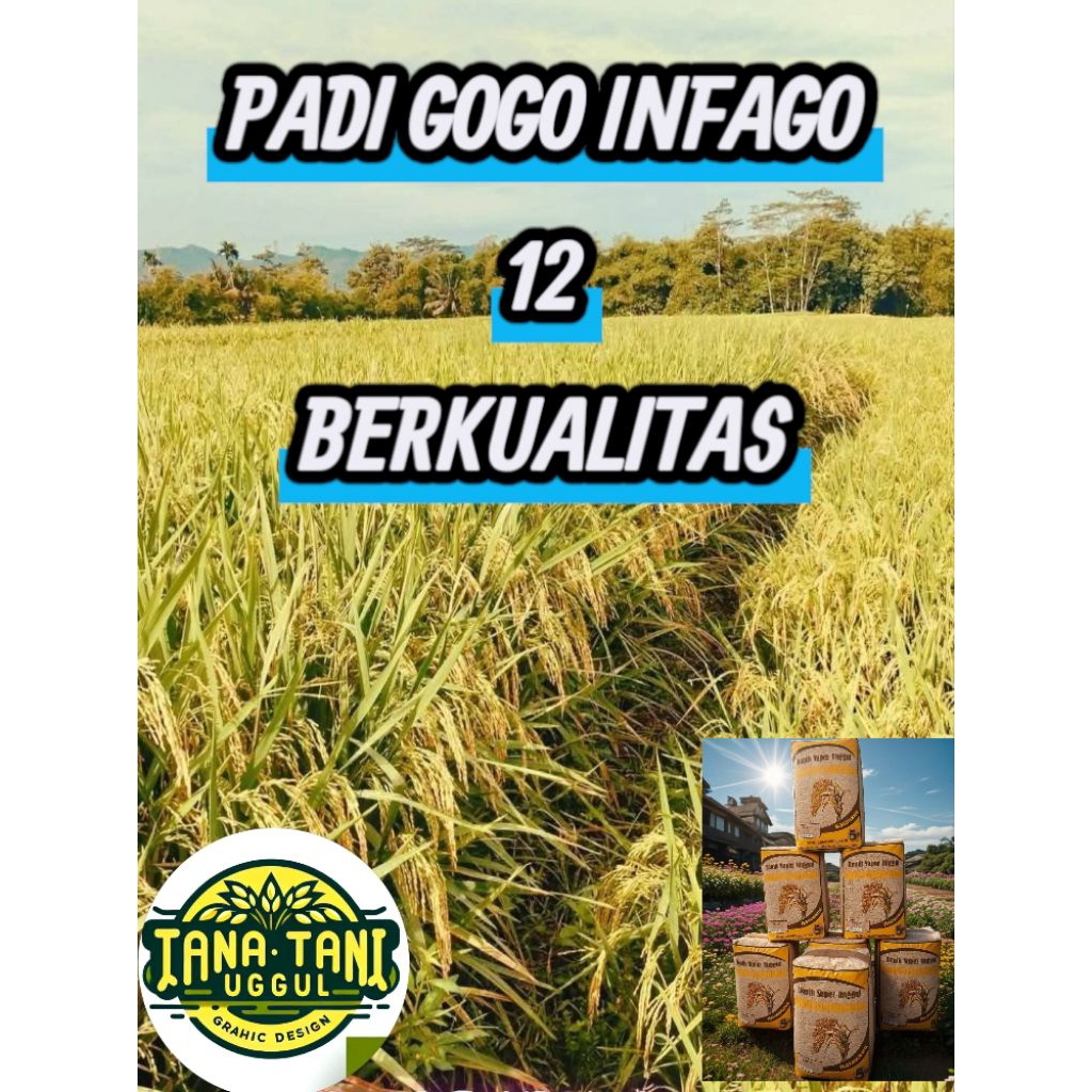 Jual Benih Padi Gogo Premium Inpago 12 Agritan/ 5kg | Shopee Indonesia