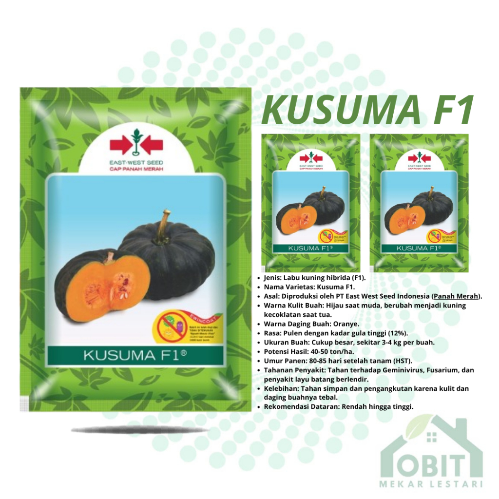 Jual Benih Labu KUSUMA F1 95 Butir - Cap Panah Merah ORIGINAL KEMASAN ...