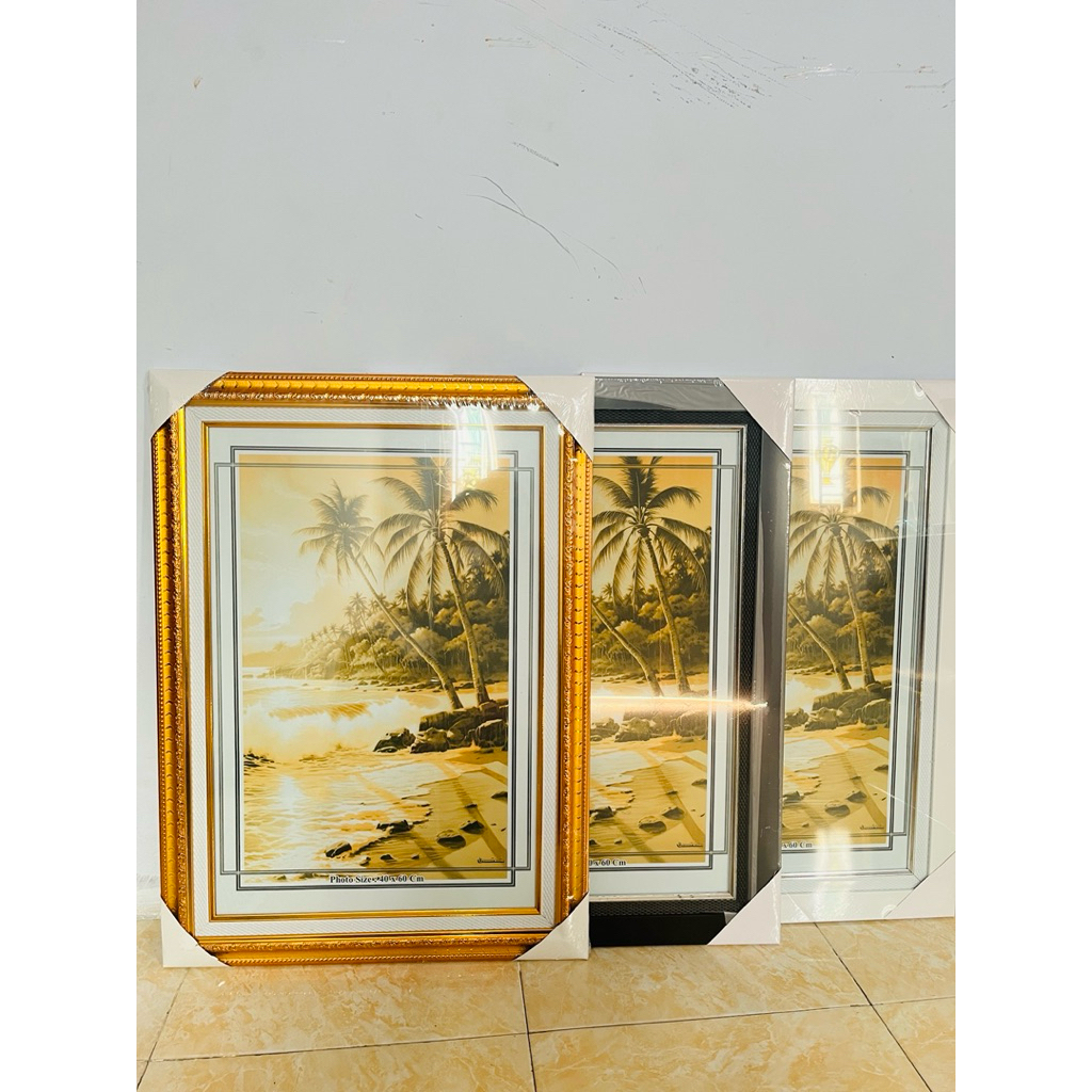 Jual Pigora 16RS 40x60 Instant/gojek/Grab only | Shopee Indonesia