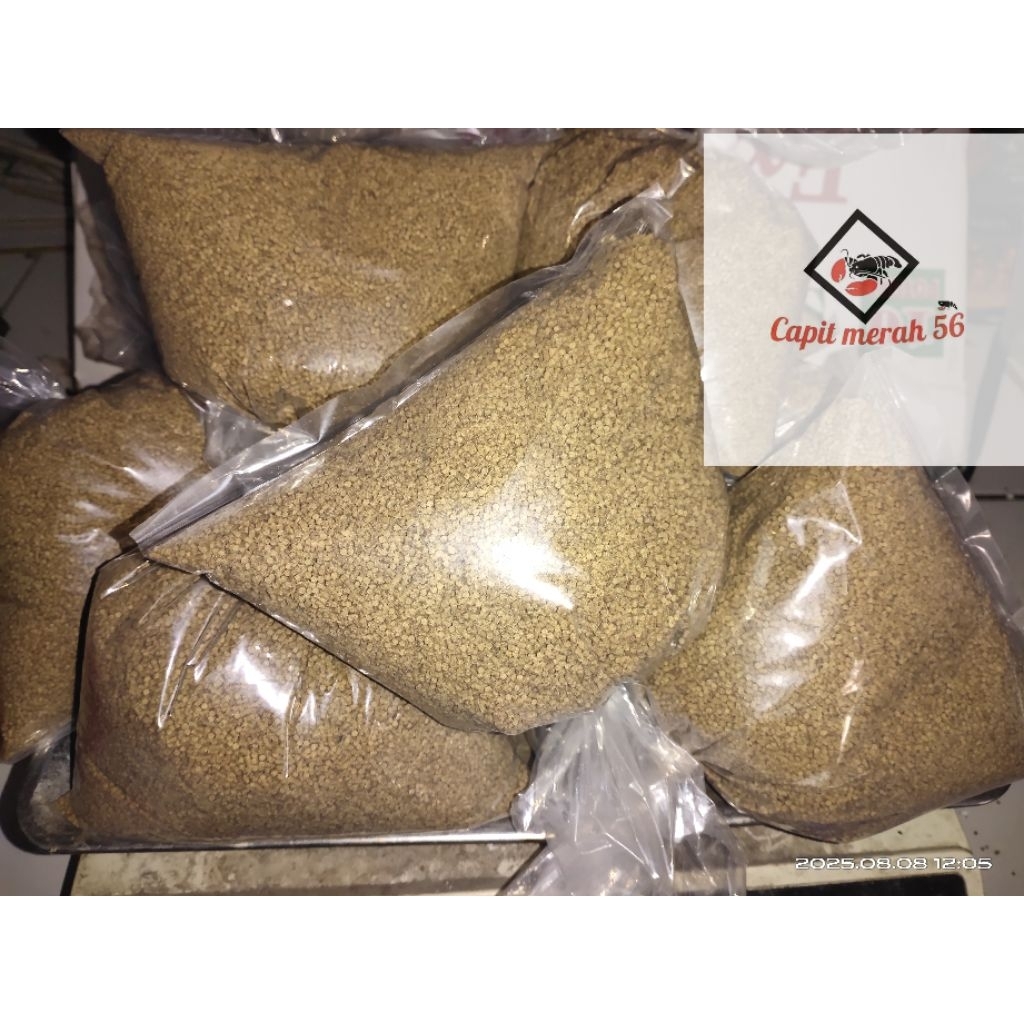 Jual pakan/pelet 500g kusus Lobster air tawar fengli super platinum 3L tinggi protein | Shopee ...