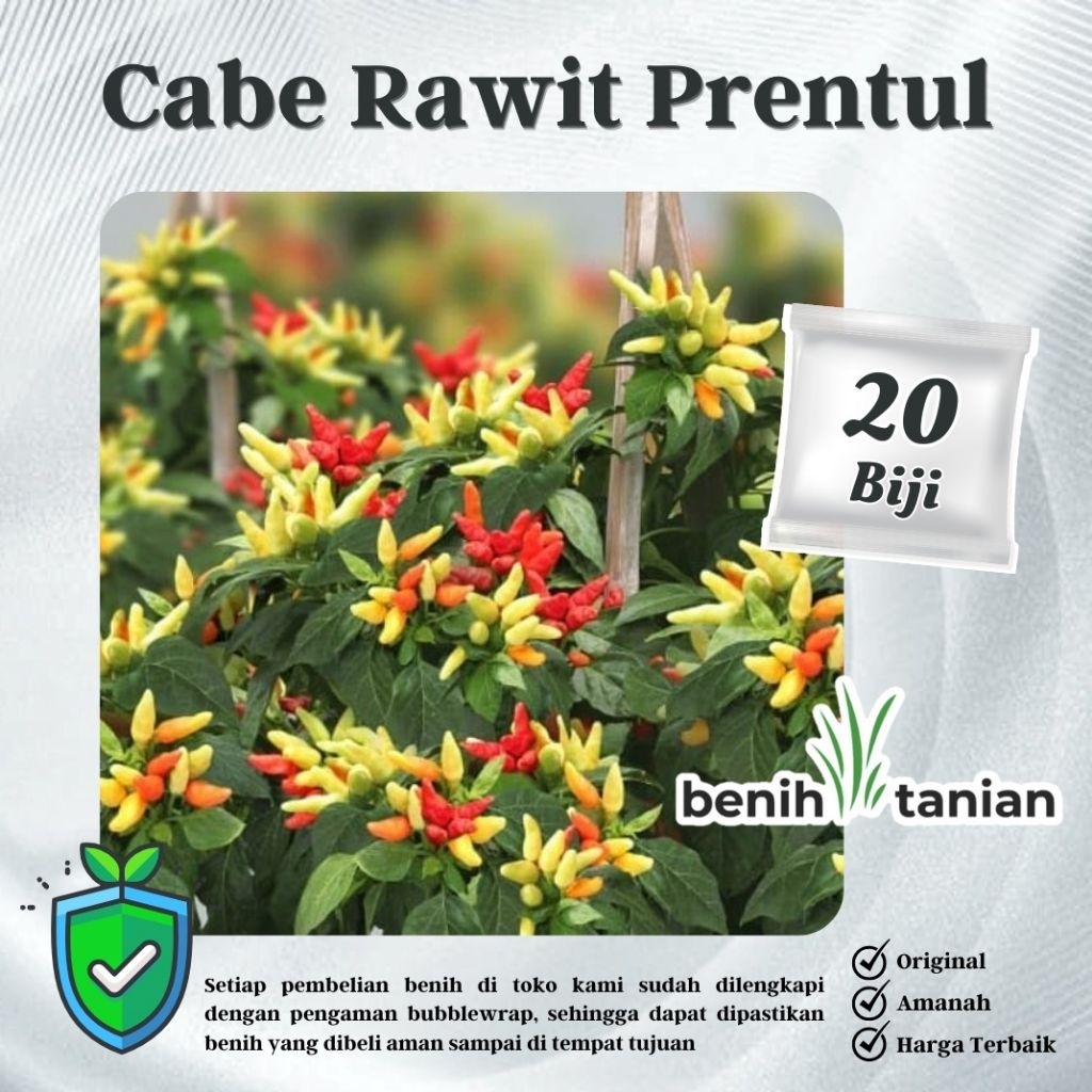 Jual 20 Biji Benih Cabe Rawit Prentul Bibit Cabai Unggul | Shopee Indonesia