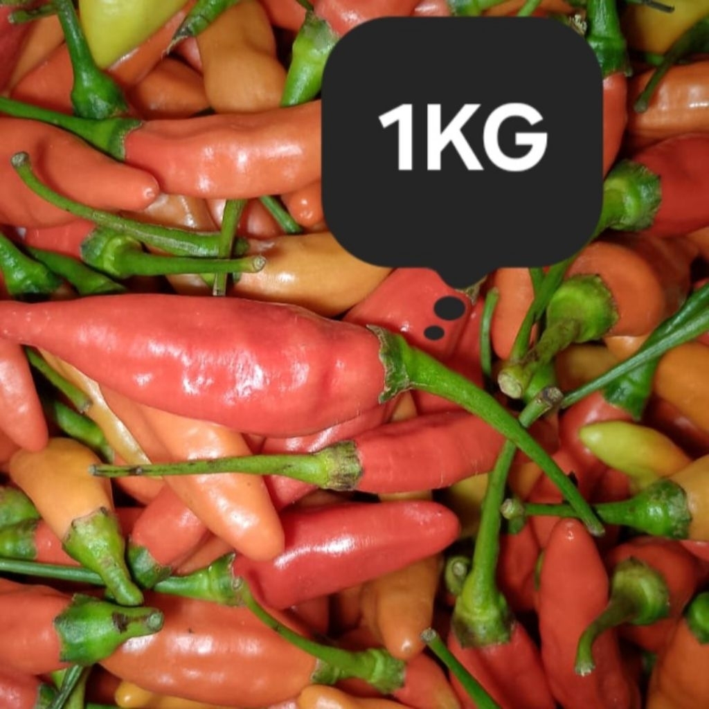 Jual Cabe Rawit Ori | Shopee Indonesia