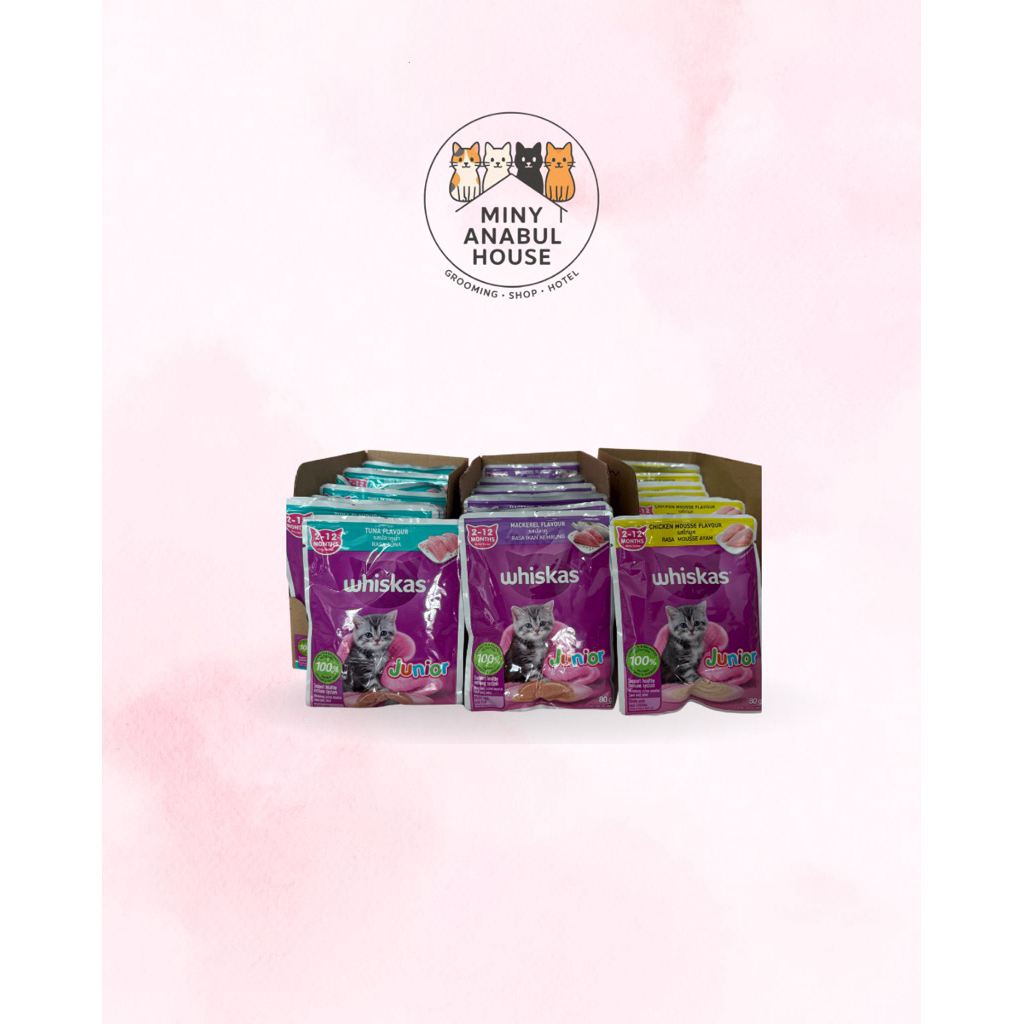 Jual Whiskas Kitten Sachet 80gr | Shopee Indonesia