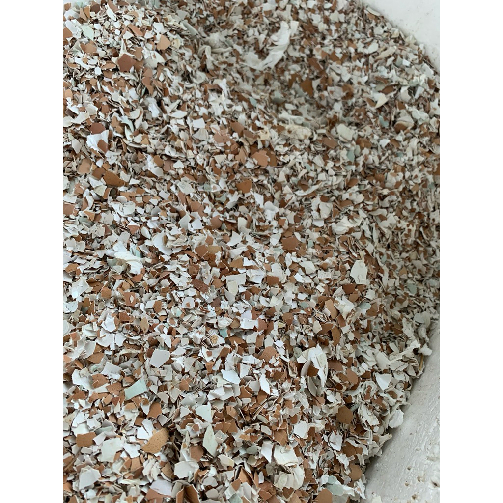 Jual Kulit Telur / Cangkang telur 1Kg | Shopee Indonesia