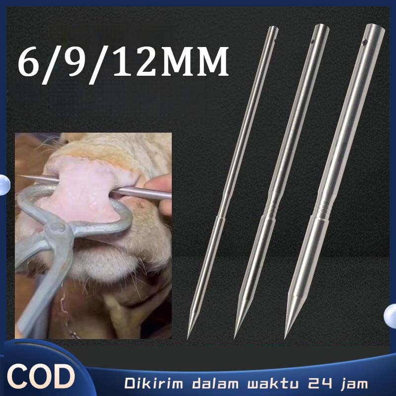 Jual Jarum Tindik Hidung Stainless Jarum Tindik Sapi Jarum Tindik ...