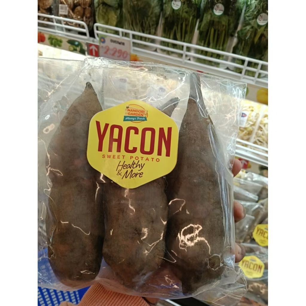Jual ubi yakon per 1 pack isi 3 -+ 600gr per pack | Shopee Indonesia