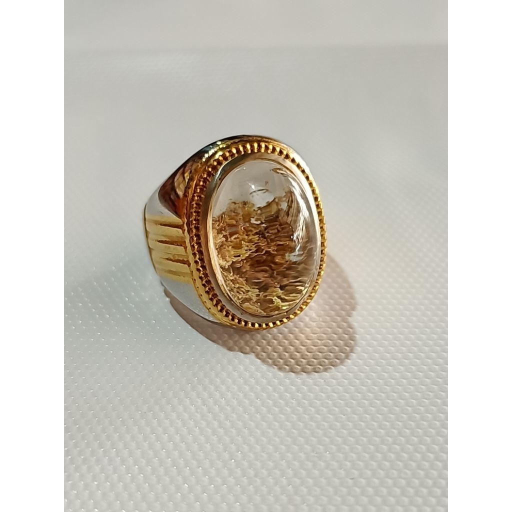 Jual kinyang karang | Shopee Indonesia