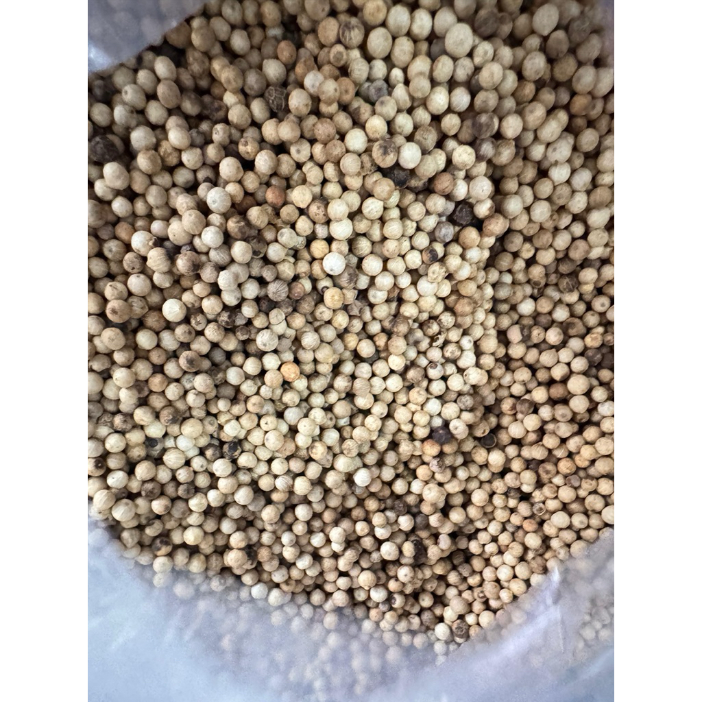 Jual Lada Putih Merica Bulat 100 Gram | Shopee Indonesia