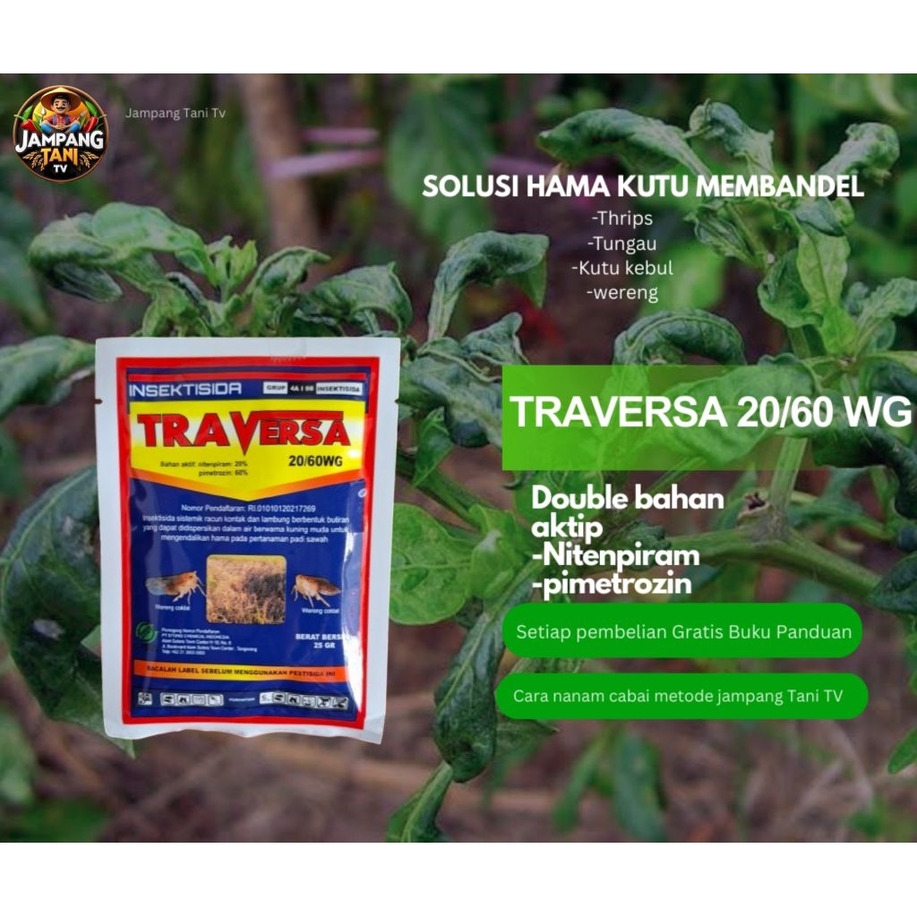 Jual INSEKTISIDA TRAVERSA 20/60 WG | Shopee Indonesia