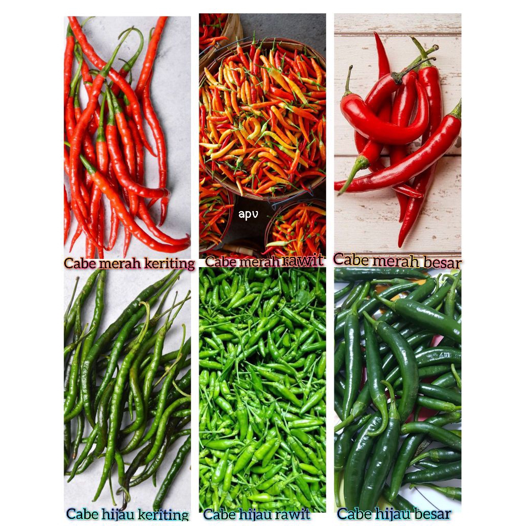 Jual cabe/cabai/lombok segar all varian | Shopee Indonesia