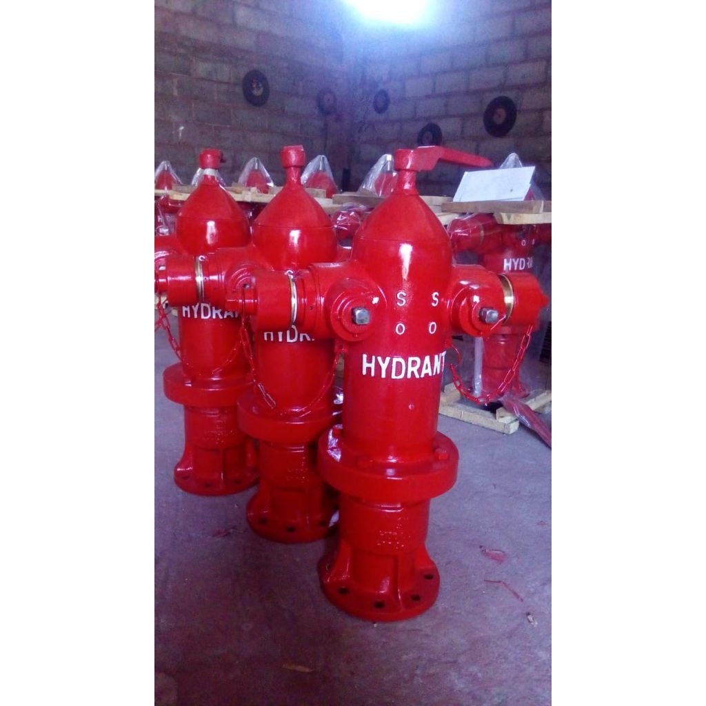 Jual Hydrant pilar two way 4"×2,5"×2,5" | Shopee Indonesia