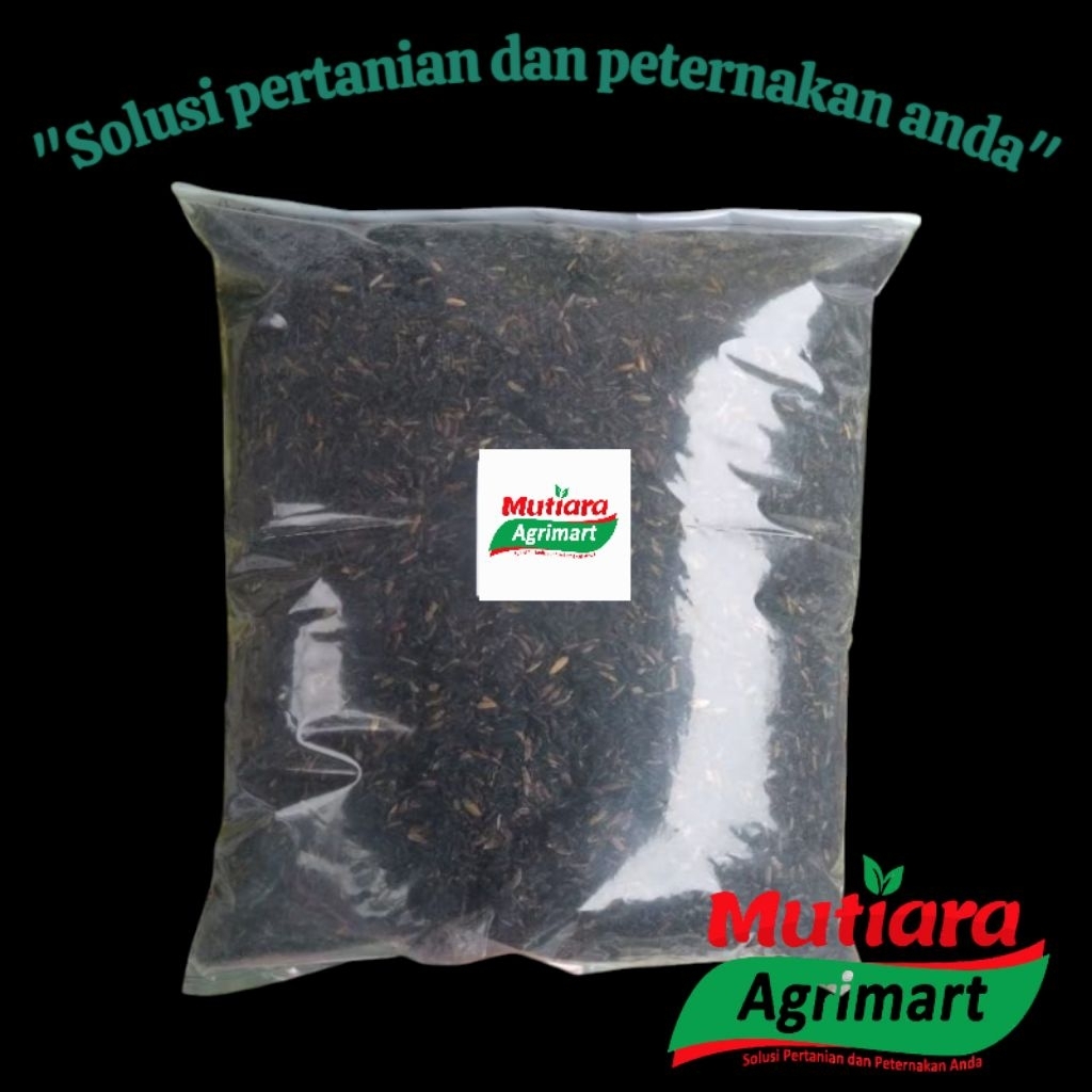 Jual SEKAM BAKAR UNTUK TANAMAN 1 PLASTIK // PUPUK TANAMAN BUNGA ...