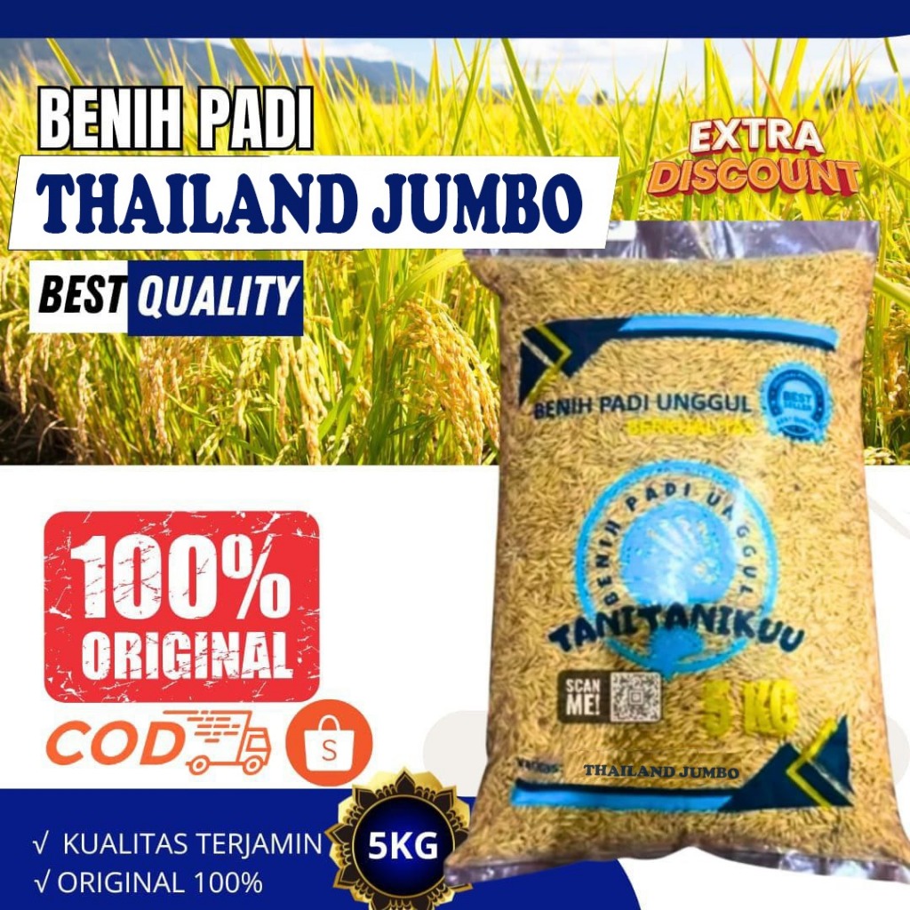 Jual benih padi bibit padi thailand jumbo berkualitas tinggi kemasan 5 ...