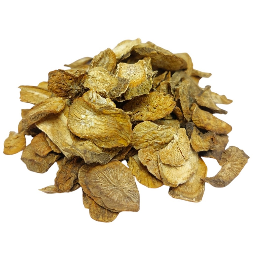 Jual Niu Bang Gen 50-100g - Niu Bang Gen - Burdock Root - Nyiu Pong Kin ...