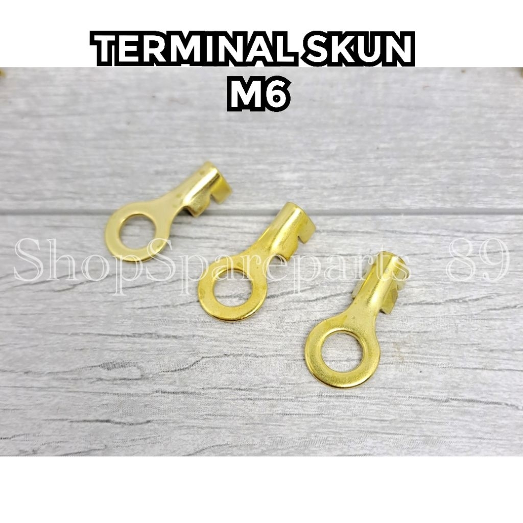 Jual ( 25 - 100 PCS ) TERMINAL SKUN M6 / BAUT 10 | Shopee Indonesia