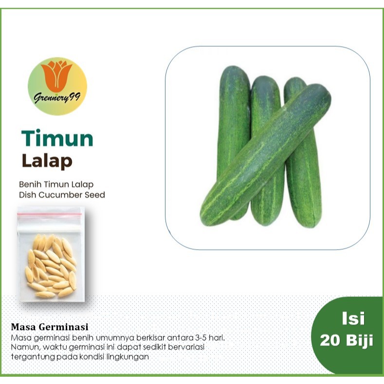Jual Bibit Biji Sayur Sayuran Timun Lalap Unggul | Shopee Indonesia