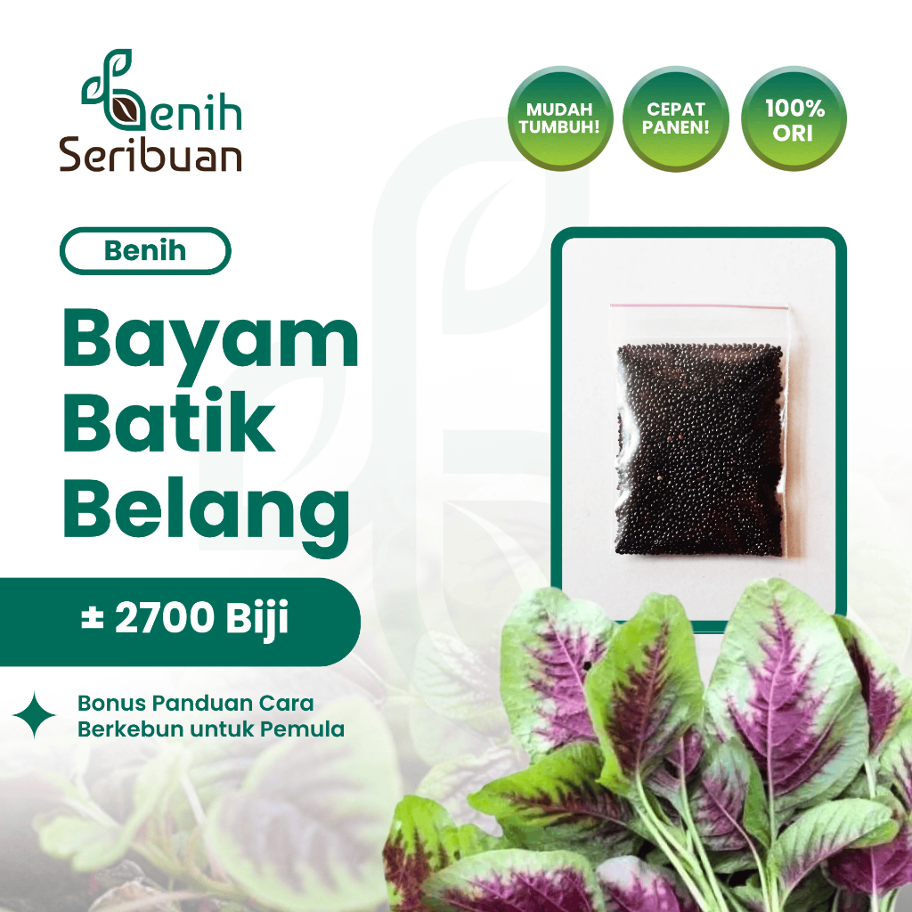 Jual Benih Seribuan - 2700 Benih Sayuran Bayam Batik Belang Unggul ...
