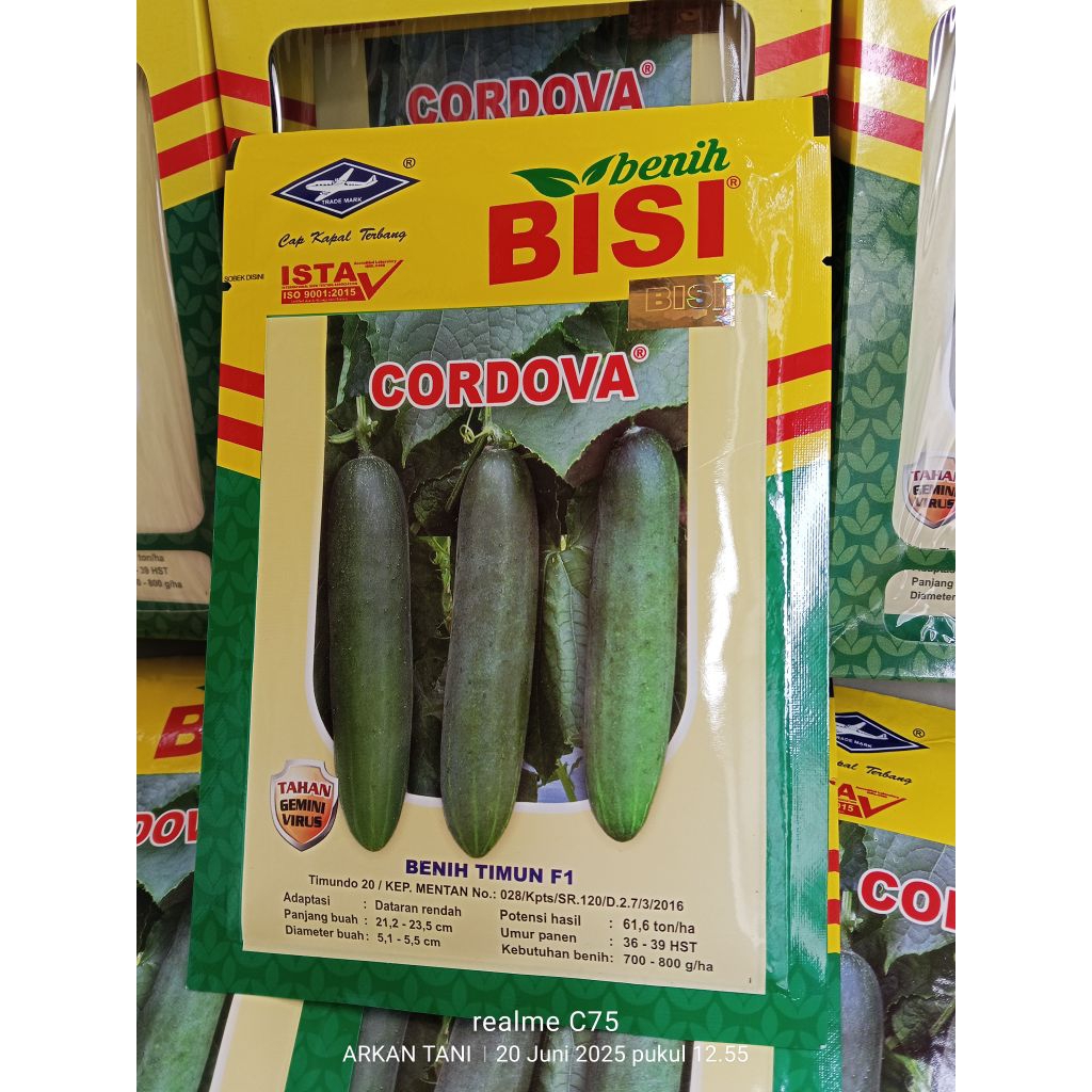 Jual BENIH TIMUN F1 CORDOVA 20 GRAM - CAP KAPAL TERBANG | Shopee Indonesia