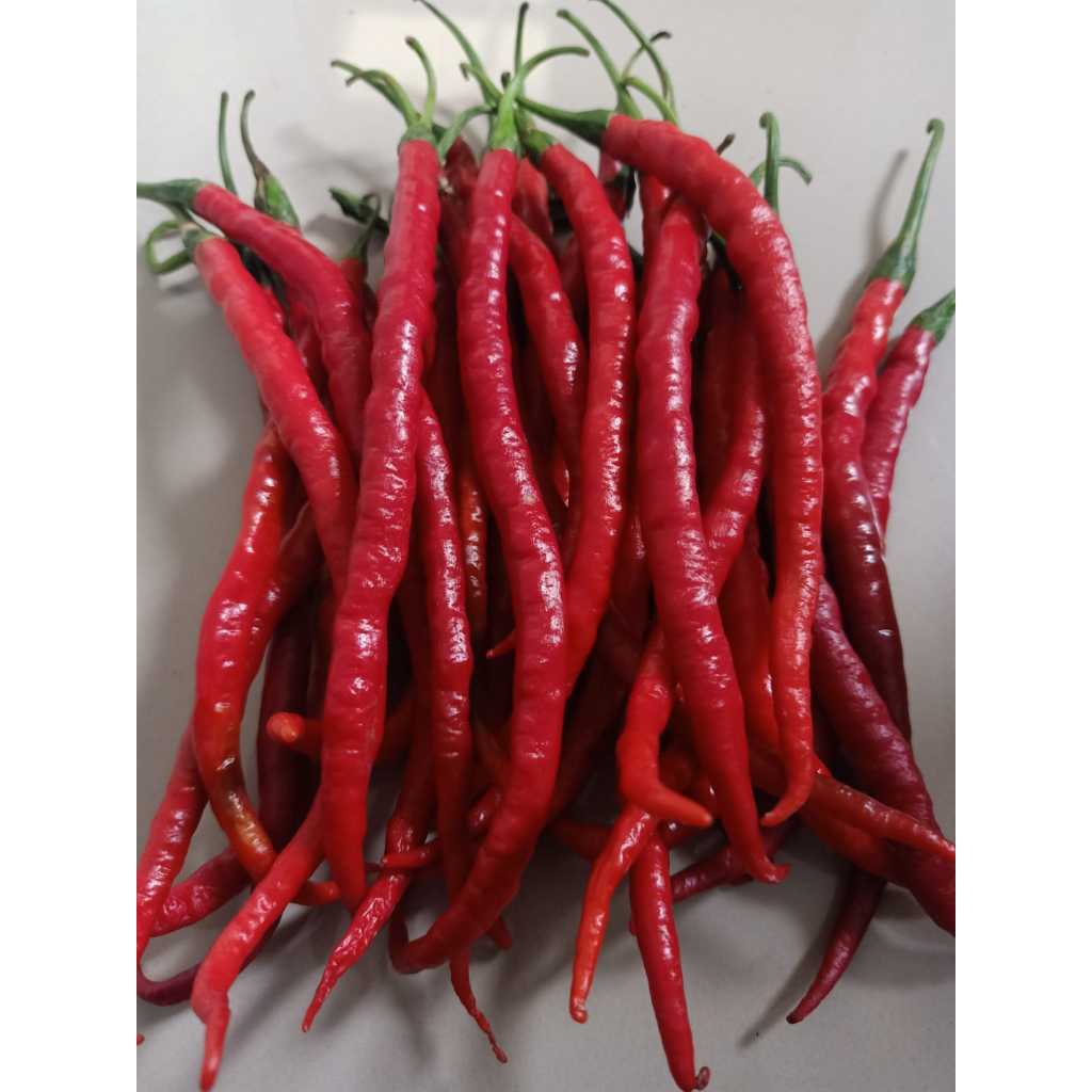 Jual Cabe Kriting Merah Fresh Segar 1kg | Shopee Indonesia