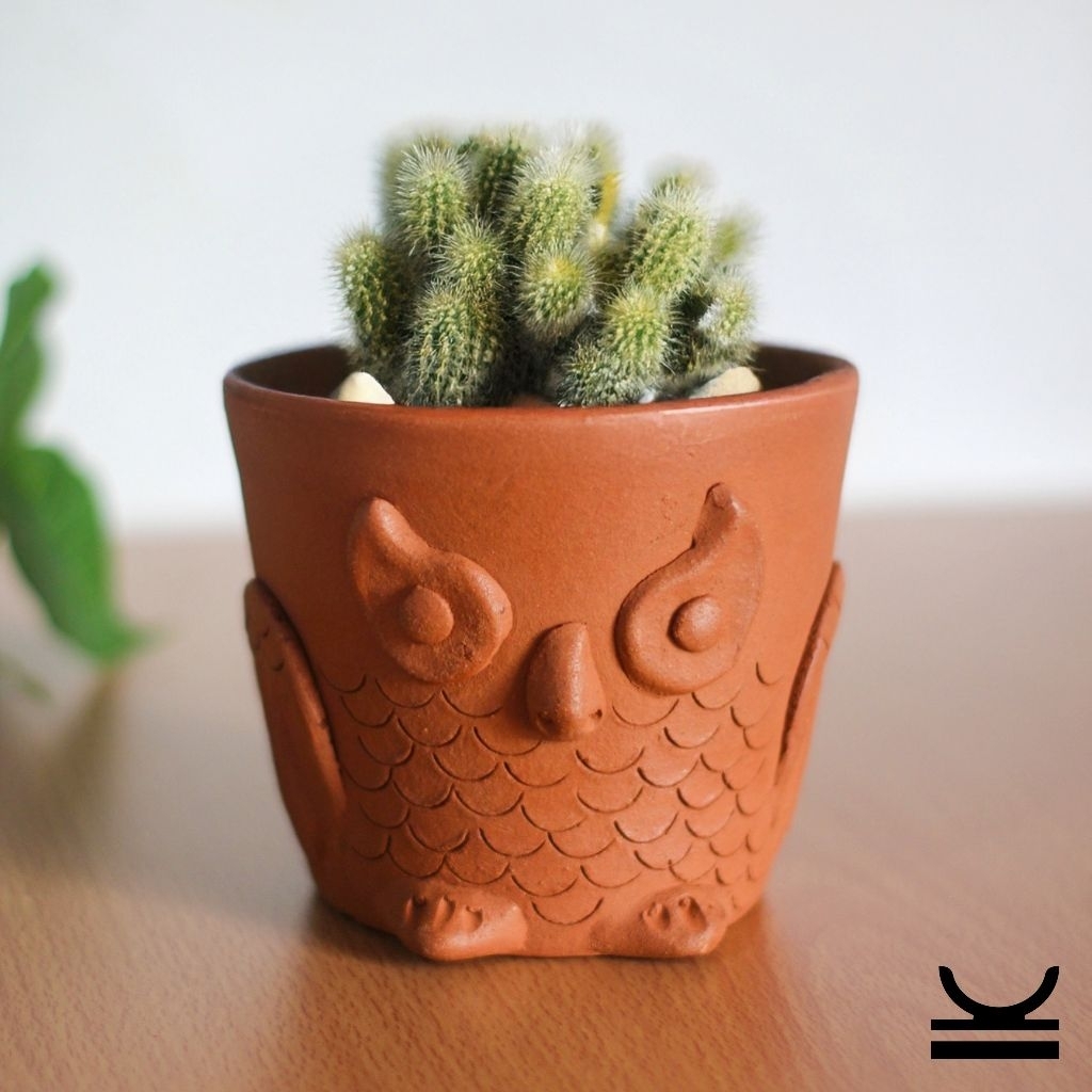 Jual (PC85) Pot Gerabah | Pot Terakota | Pot Tanah Liat | Pot Tanaman ...